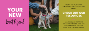 Bay Area Pug Project